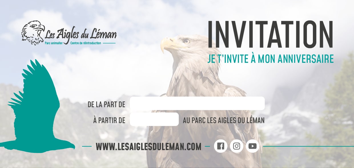 Spectacles & animations - Les Aigles du Léman