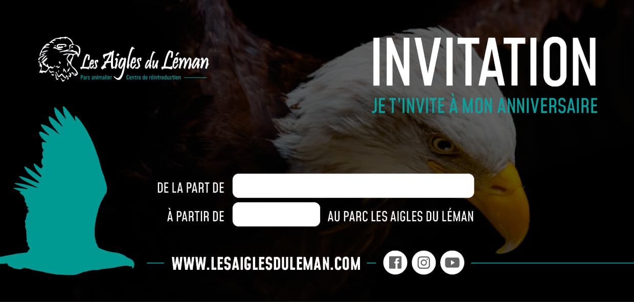 Spectacles & animations - Les Aigles du Léman